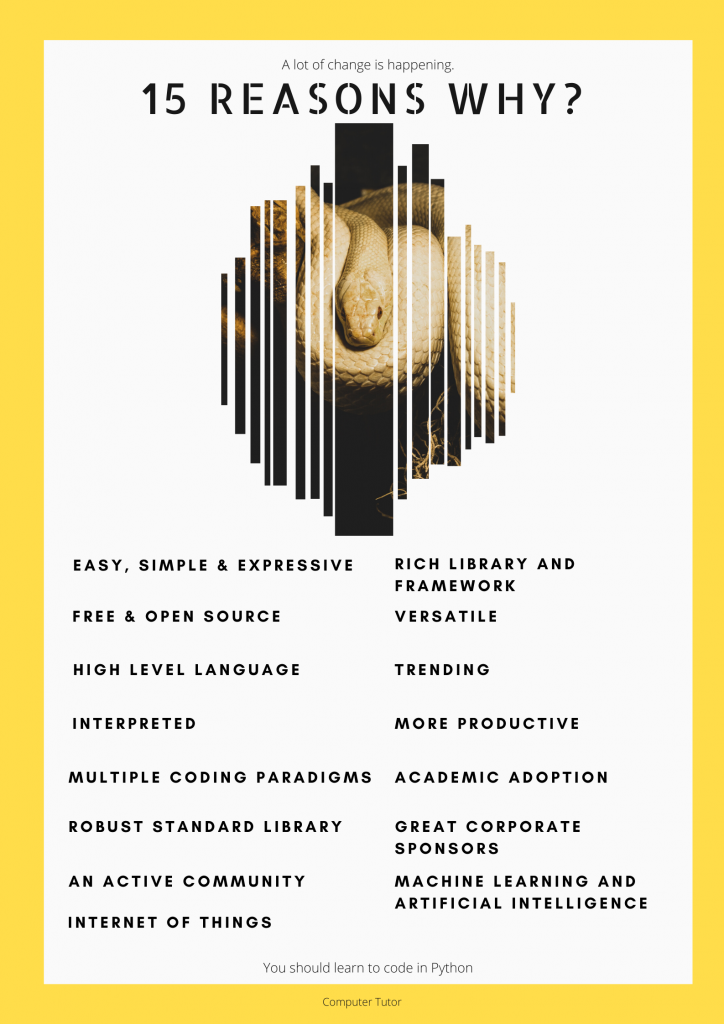 Top 15 Reasons Why You Should Learn Python - Computer Tutor