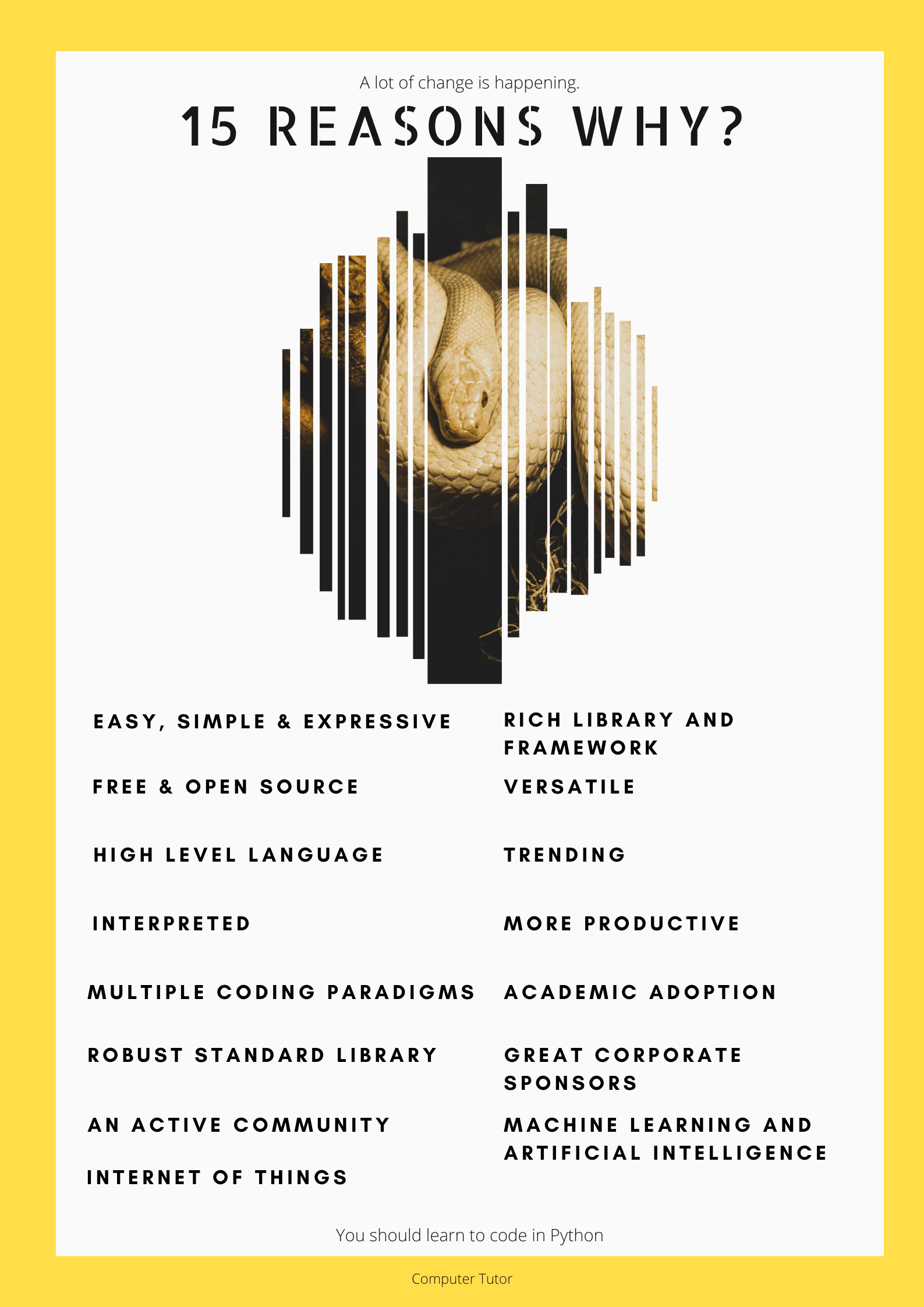 Top 15 Reasons Why You Should Learn Python - Computer Tutor